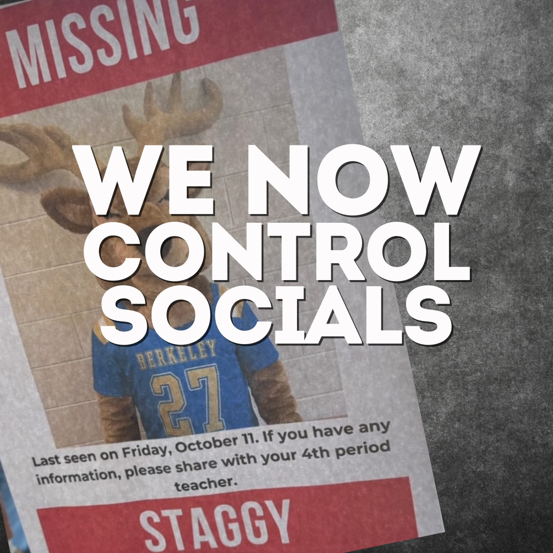 Staggy’s Disappearance: Interviews & Clues Exposed – StaggyBHS.com