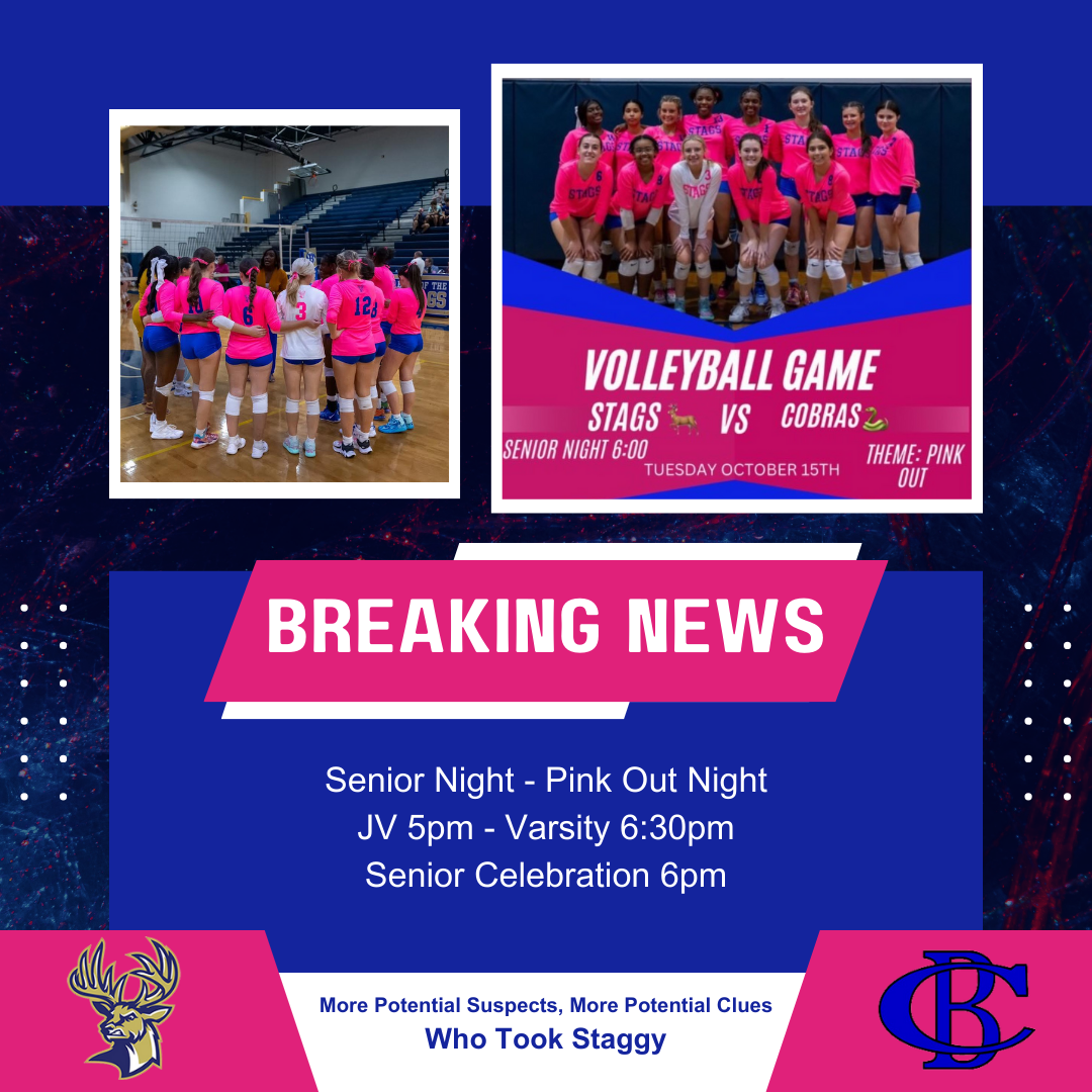 Staggy’s Disappearance: Interviews & Clues Exposed – StaggyBHS.com