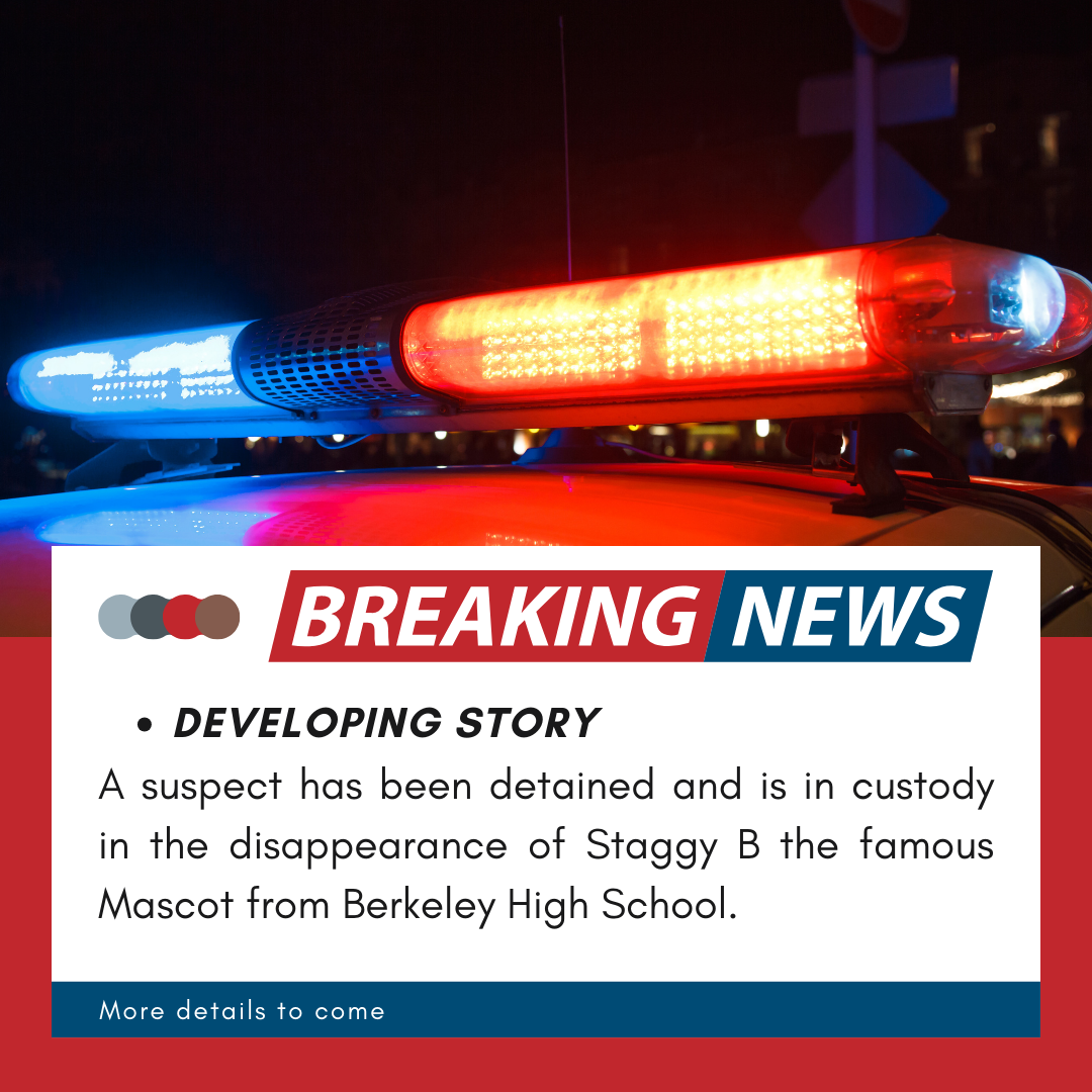 Staggy’s Disappearance: Interviews & Clues Exposed – StaggyBHS.com