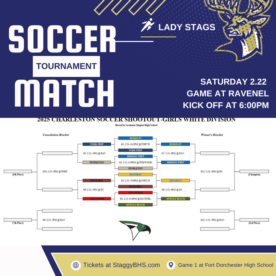 Lady Stags Advance After Winning 4-0 in Game 1 – StaggyBHS.com