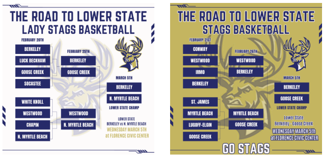 Join Stag Nation for Lower State Championship Basketball Excitement ...